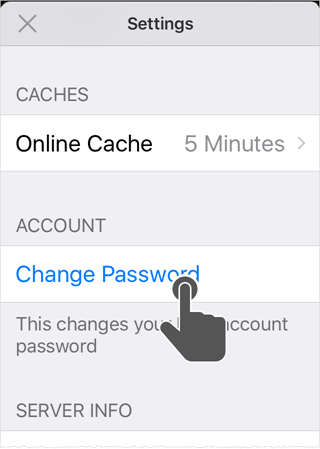 How do I change my Birst password on iOS?